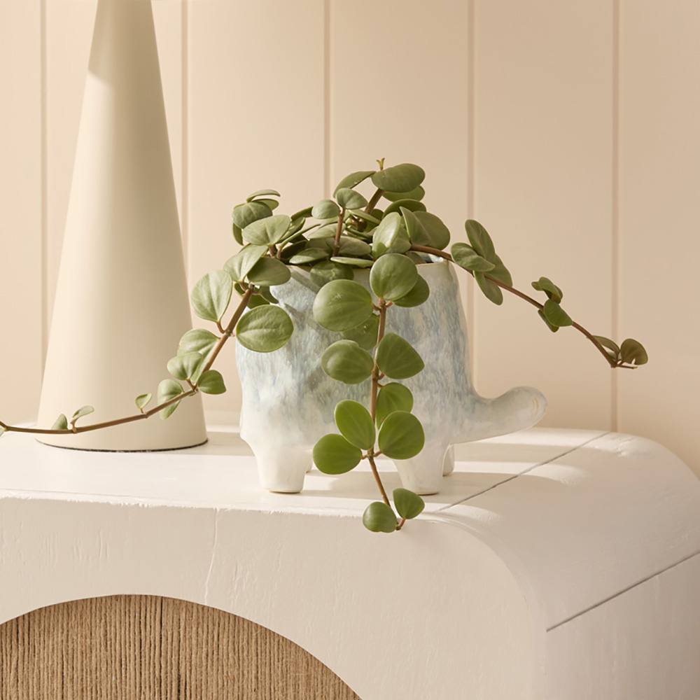 Turtle Reactive Blue Pot | Adairs