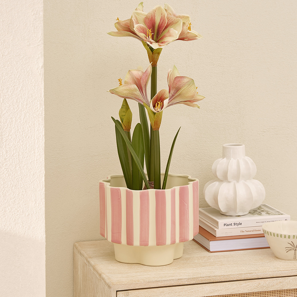 Flower Off White & Pink Stripe Pot | Adairs
