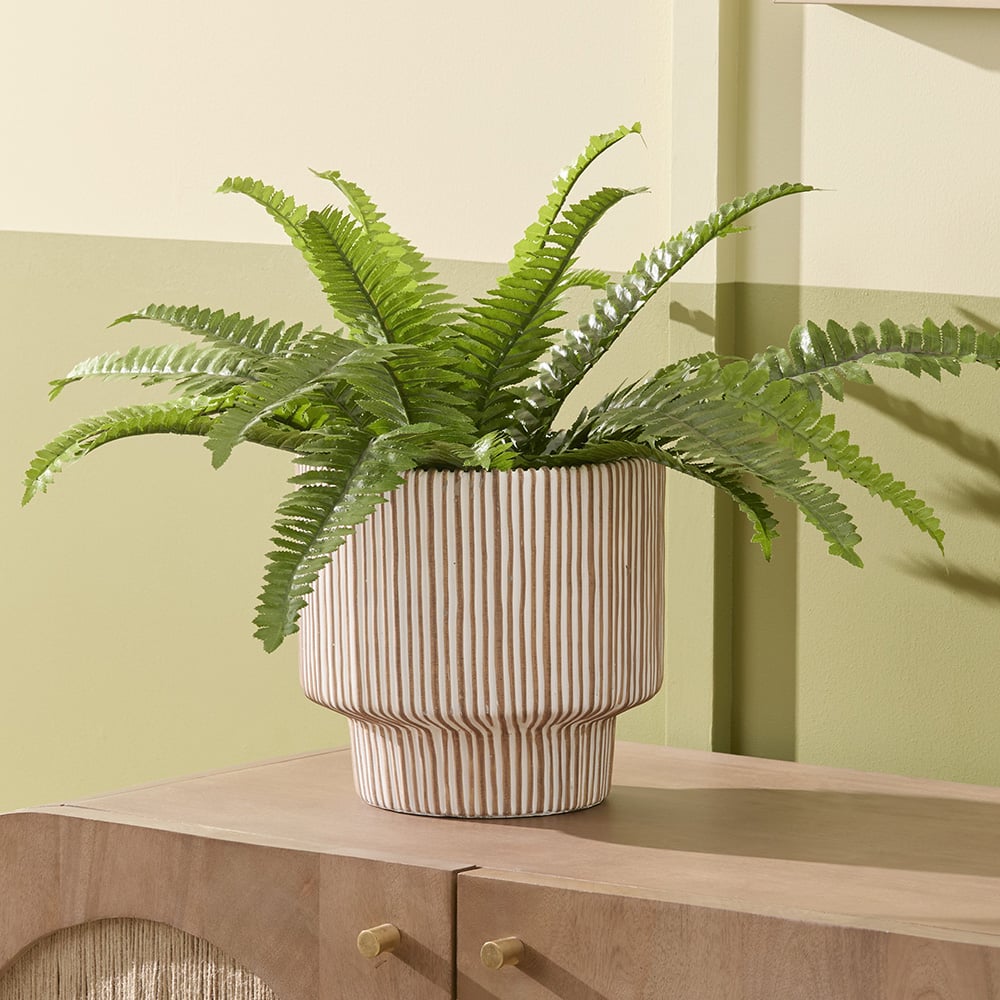 Pompeii White & Brown Stripe Pot | Adairs