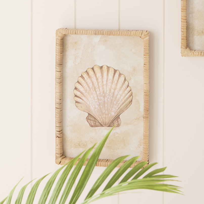 Atlantic Scallop Shell Art Great Scallop Promenade Flag Mounts Bay