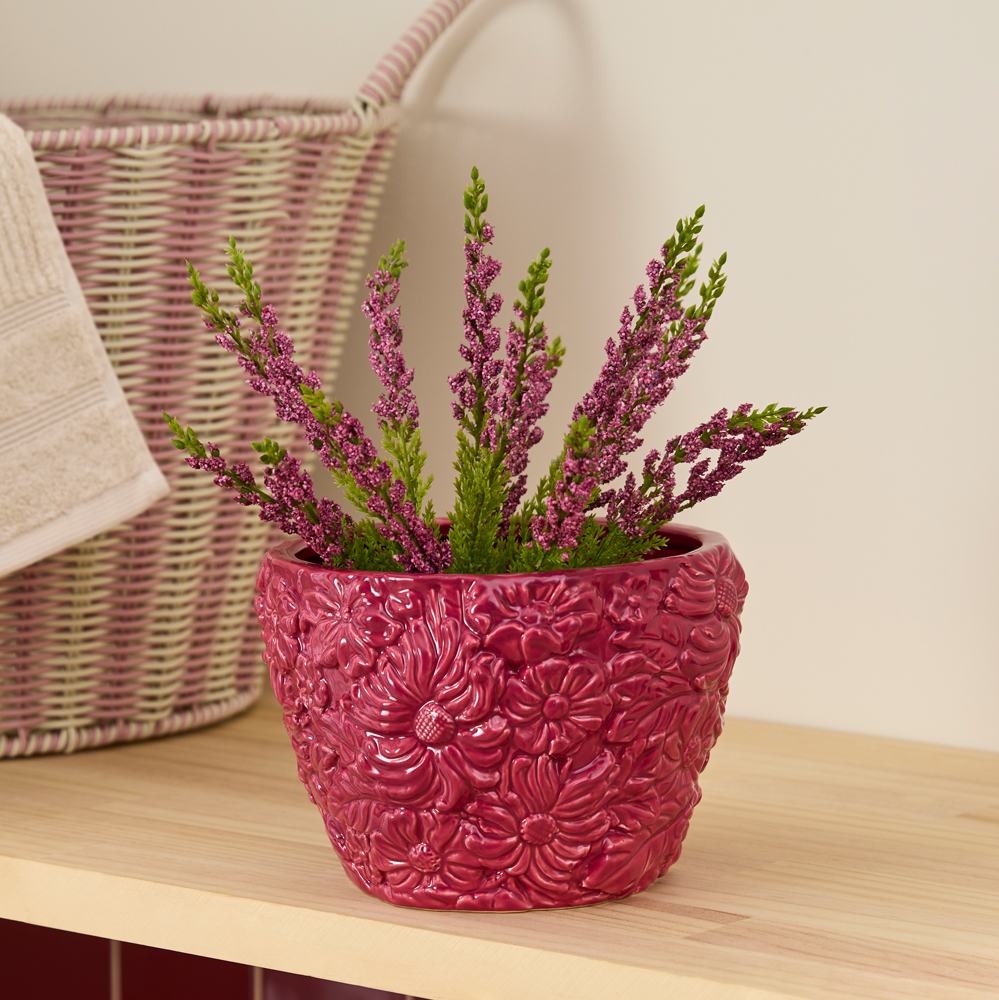 Potted Red & Green Lavender Plant | Adairs