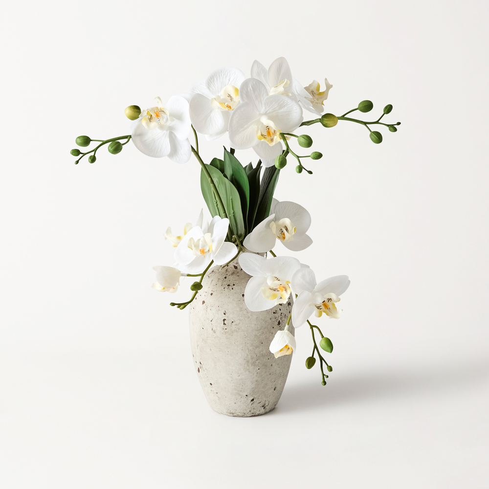 OFFLINE White Phalaenopsis 5 Spray in Ceramic Pot | Adairs