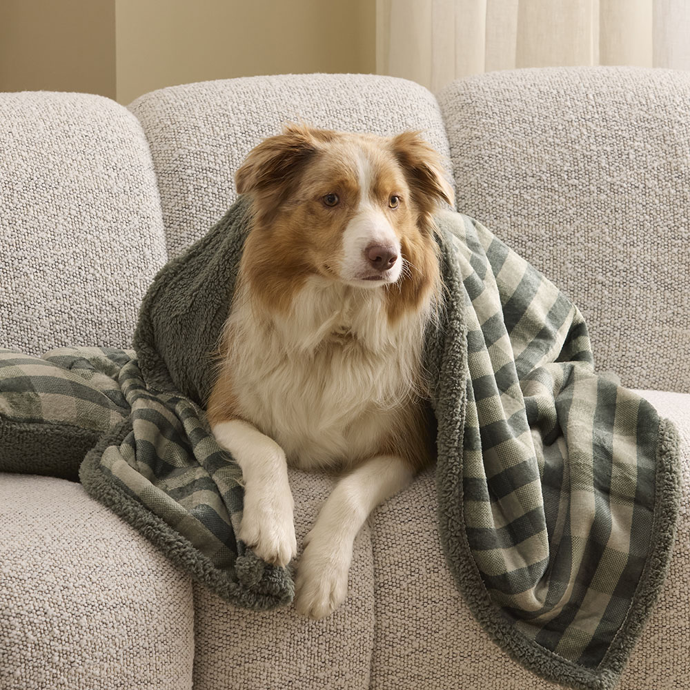 Maisy Green Tile Pet Blanket | Adairs