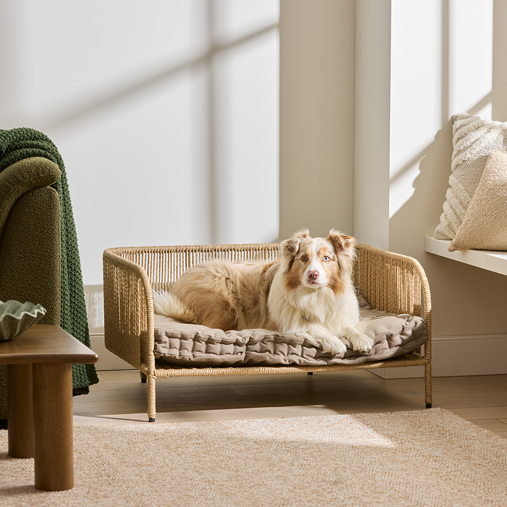 Sunny Natural Pet Bed | Adairs