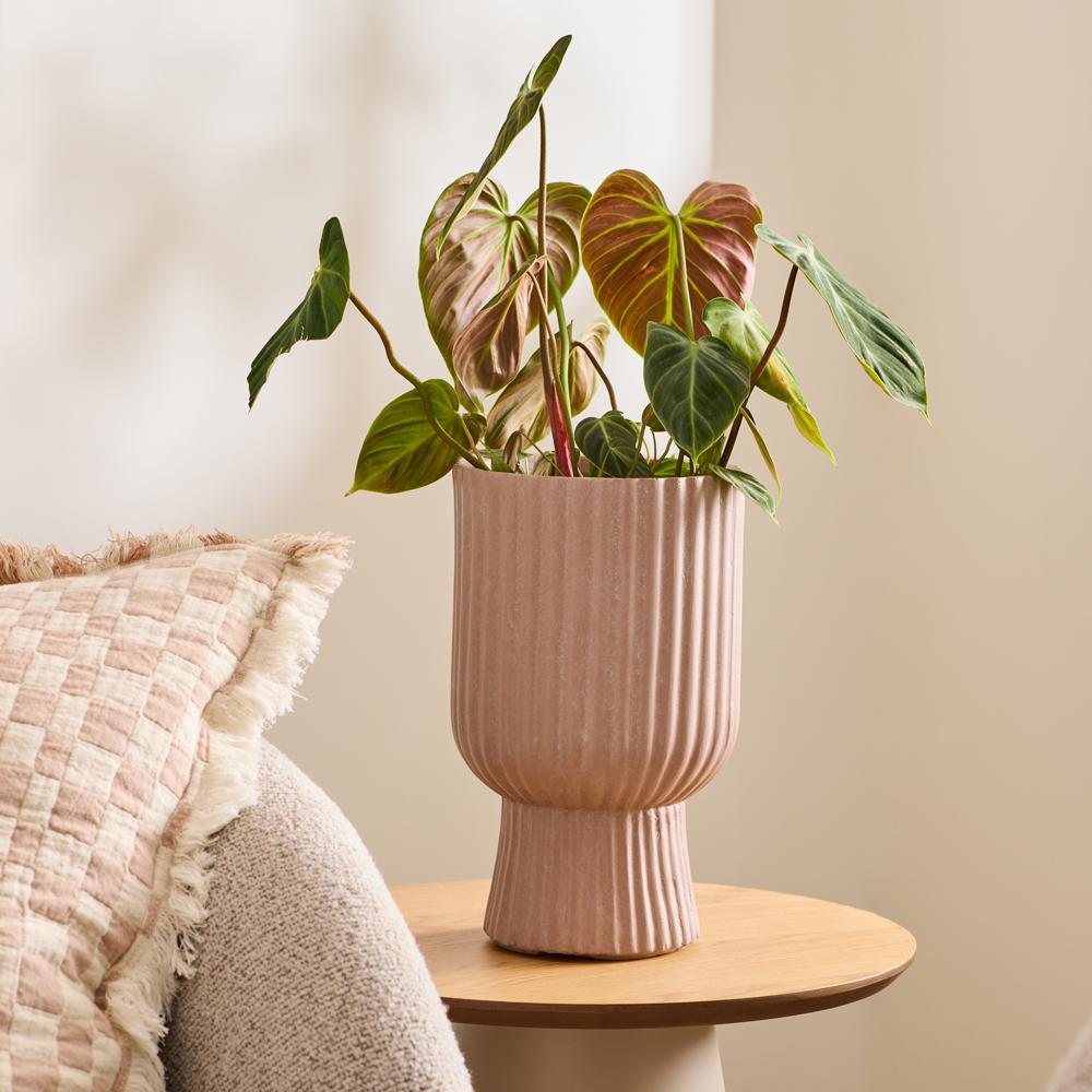 Apollo Blush Pink Indoor & Outdoor Pot | Adairs