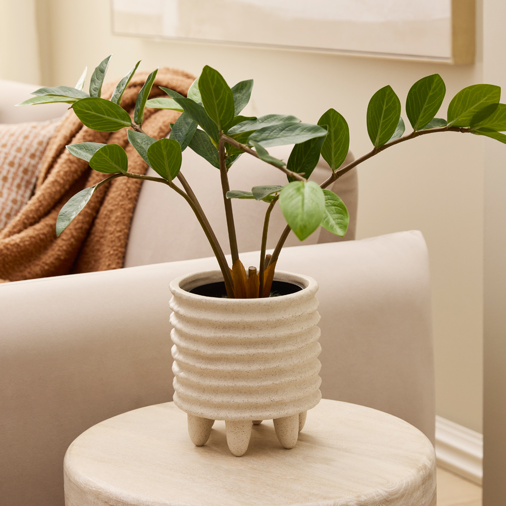 Mayan Cream Pot | Adairs