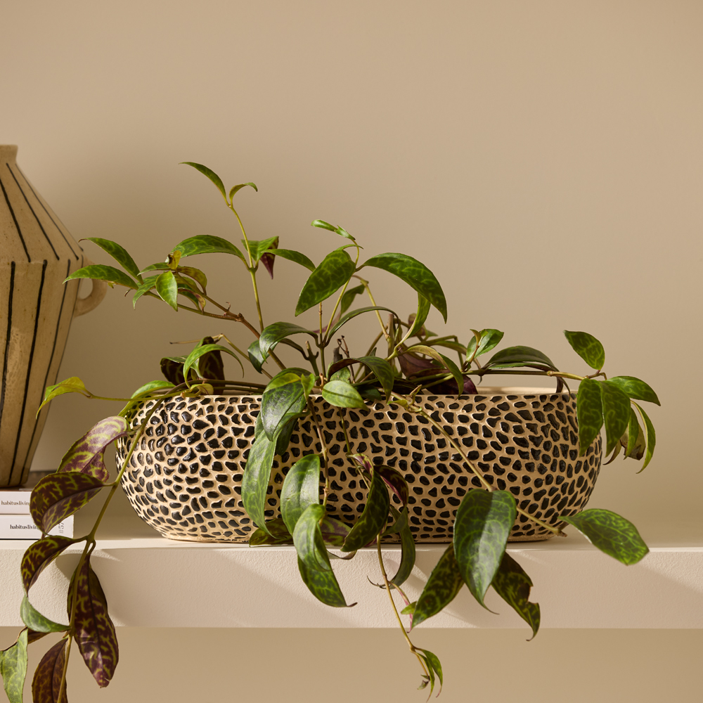 Animalia Black & Natural Long Pot | Adairs