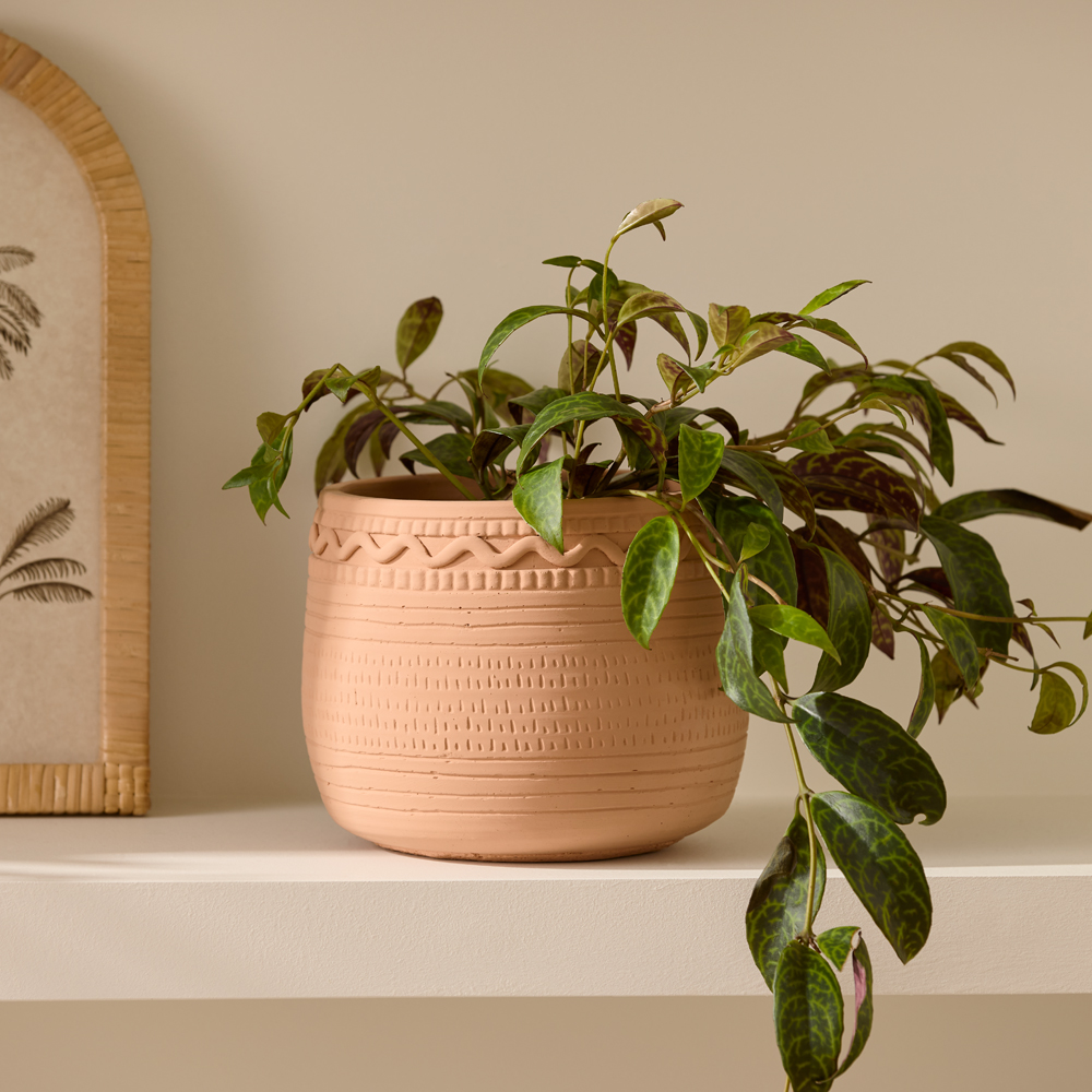 Nairobi Clay Pot | Adairs