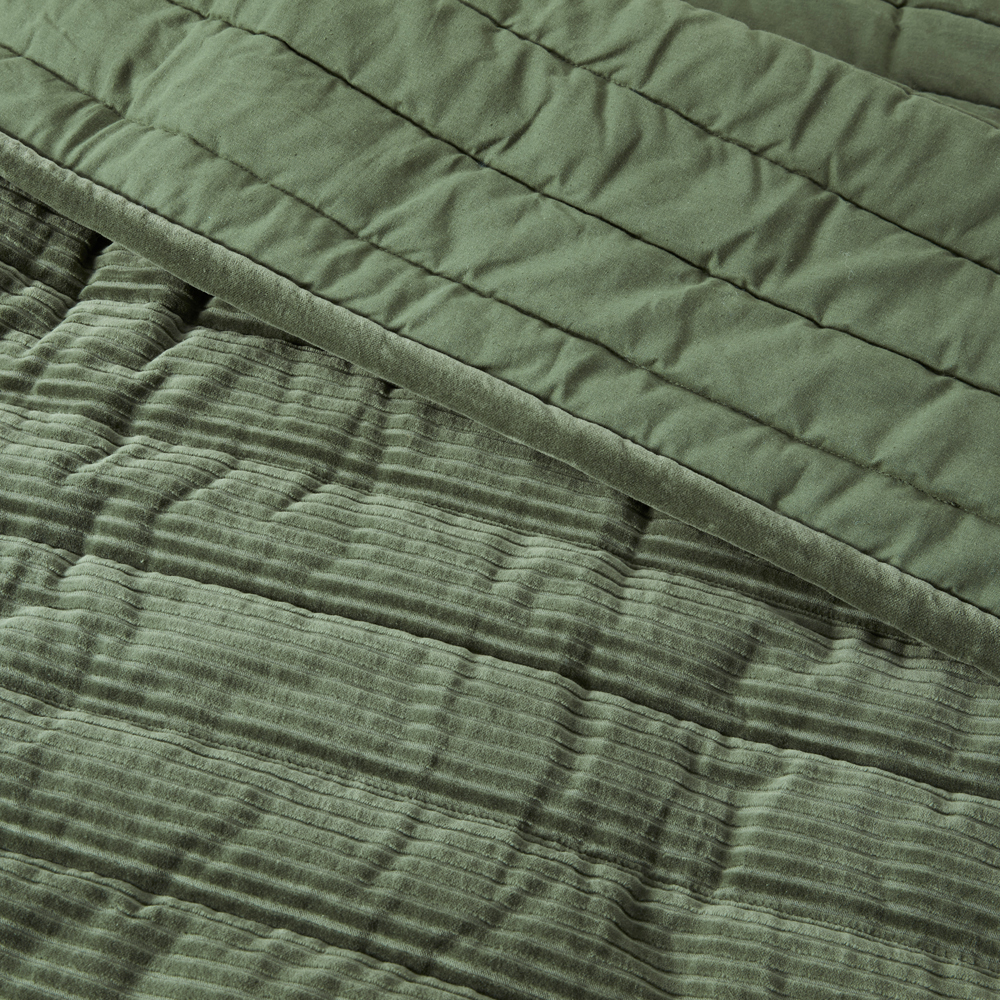 Theo Dark Ivy Velvet Blanket | Adairs