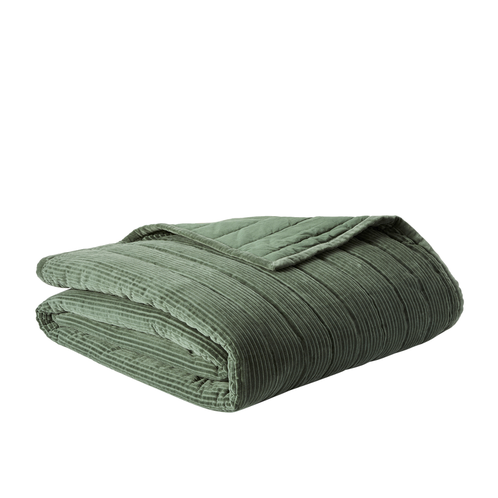 Theo Dark Ivy Velvet Blanket | Adairs