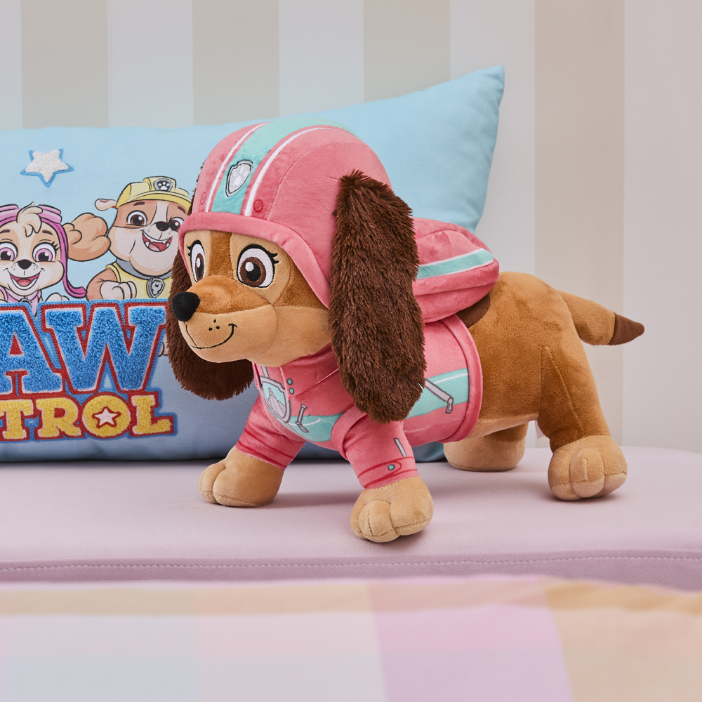 PAW Patrol