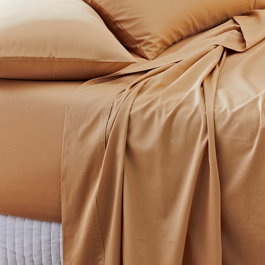 World's Softest Cotton Latte Sheet Set | Adairs