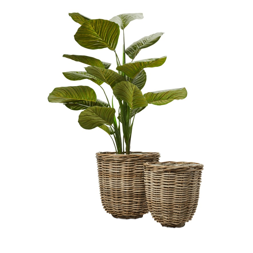 Home Republic - Bellevue Rattan Natural Large Pot | Adairs