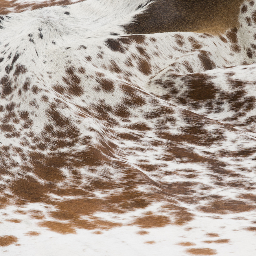 Natural Cowhide Salt & Pepper- Longhorn | Adairs