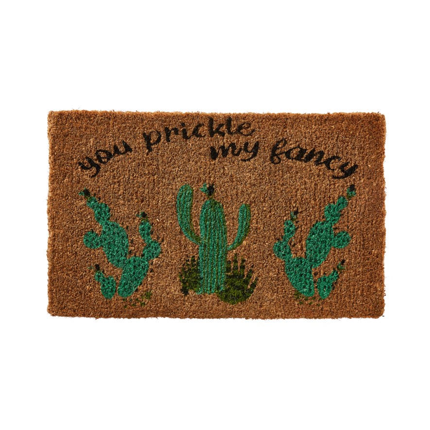 Coir Cactus Pals Doormat | Adairs