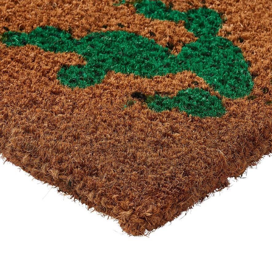 Coir Cactus Pals Doormat | Adairs