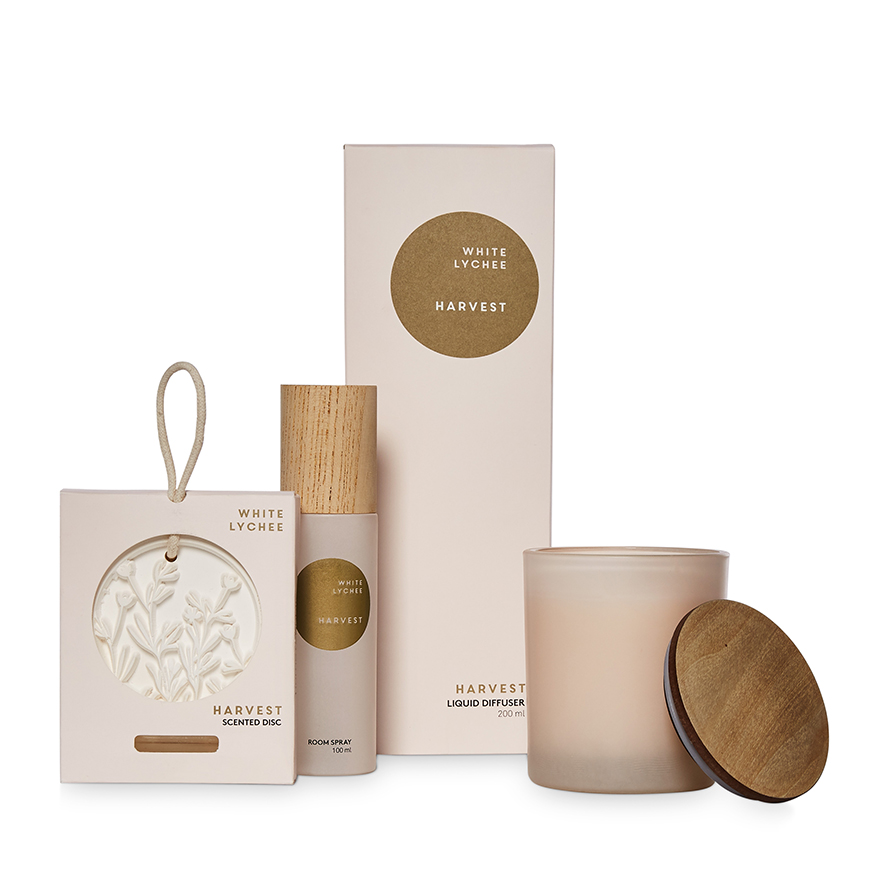 Home Republic - Harvest Scented Disc White Lychee | Adairs