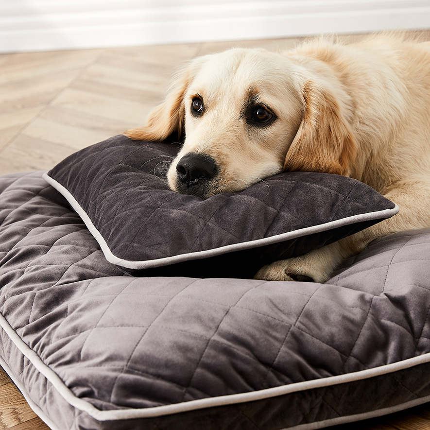 Fetch - Comfort Collection Plush Velvet Quilted Coal Snuggle Mat Cover ...