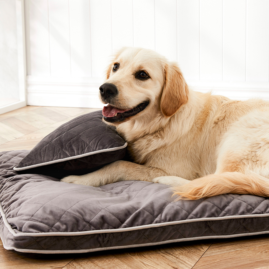 Fetch - Comfort Collection Plush Velvet Quilted Coal Snuggle Mat Cover ...
