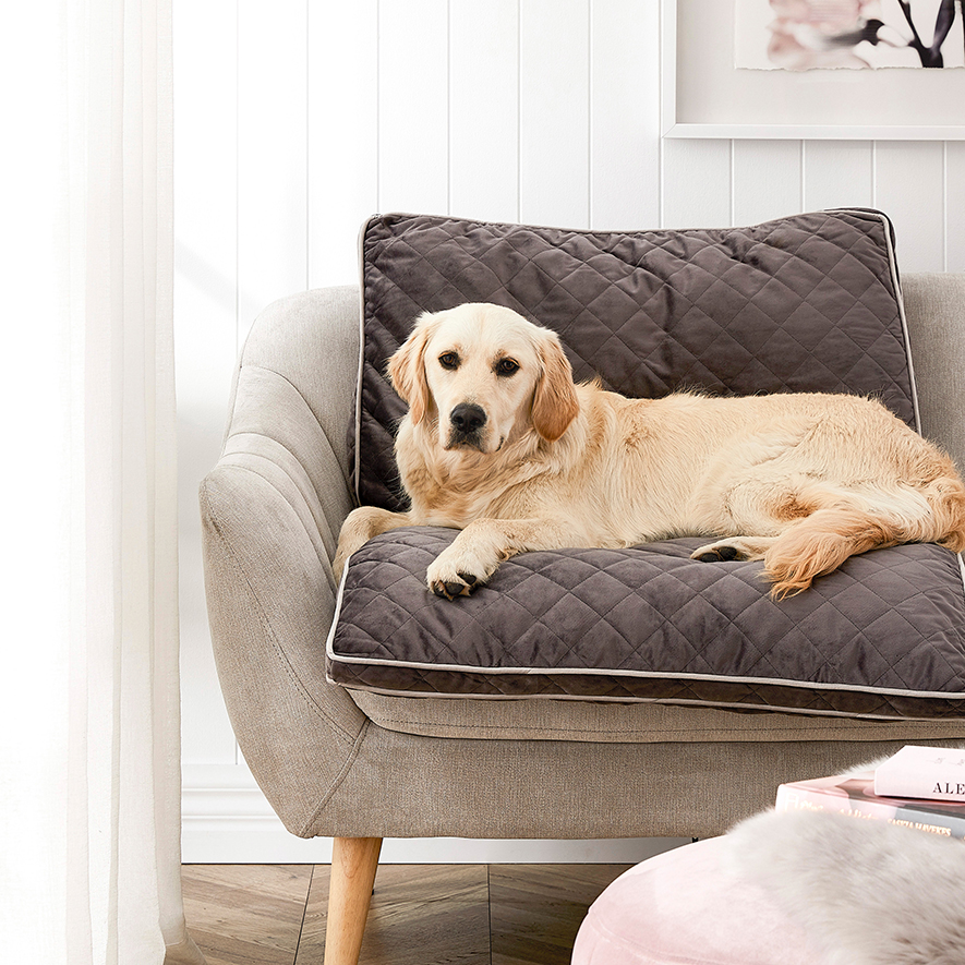 Fetch - Comfort Collection Plush Velvet Quilted Coal Snuggle Mat Cover ...