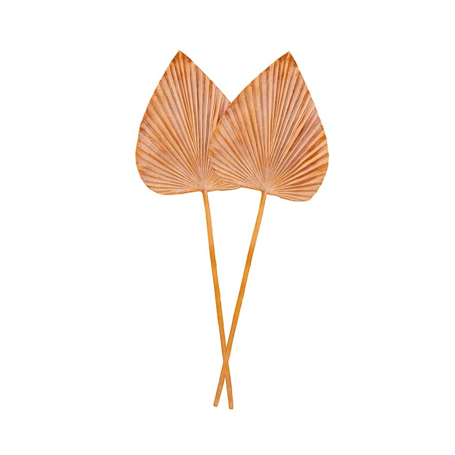 Winter Stem Fan Brown Bunch | Adairs