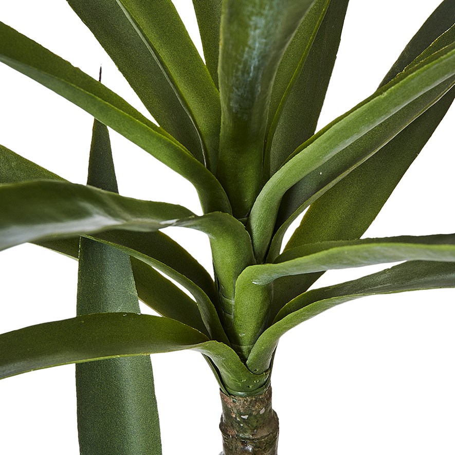 Heneken Potted Plant 110cm | Adairs