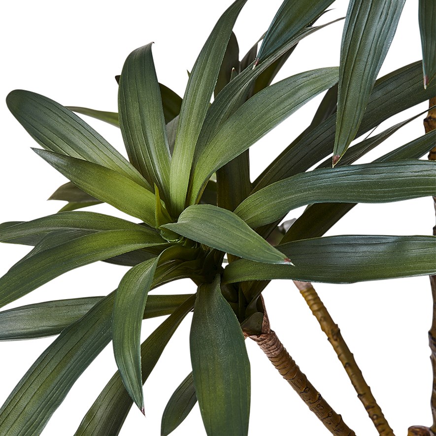 Evergreen 5 Stem Yucca Plant 90cm | Adairs