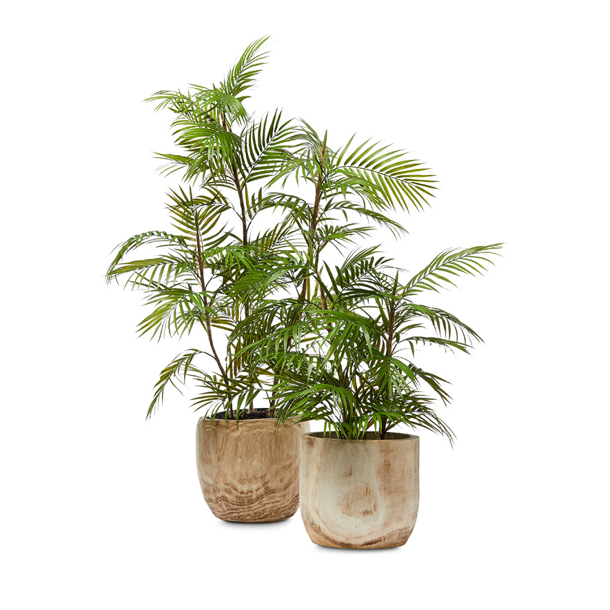 Potted Fern 108cm | Adairs