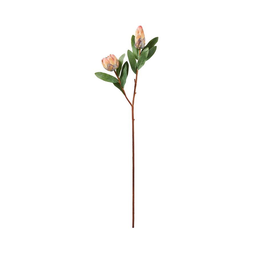 Home Republic - Native Peach Single Protea Stem | Adairs