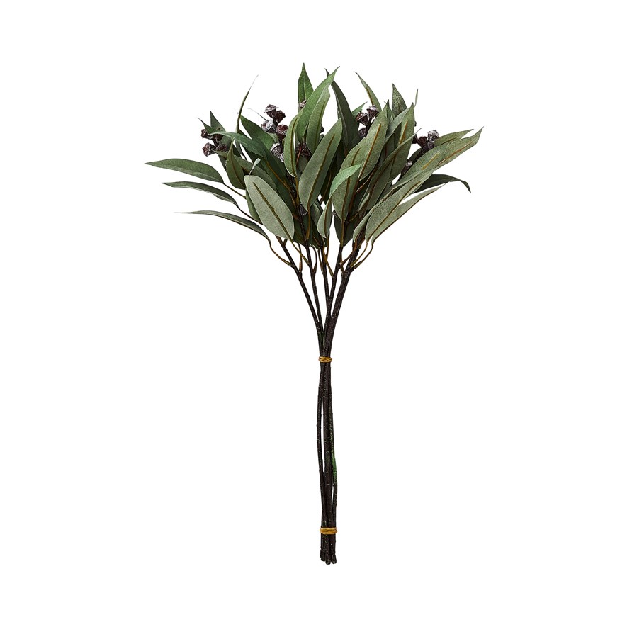 Home Republic - Native Green Gum Stem | Adairs