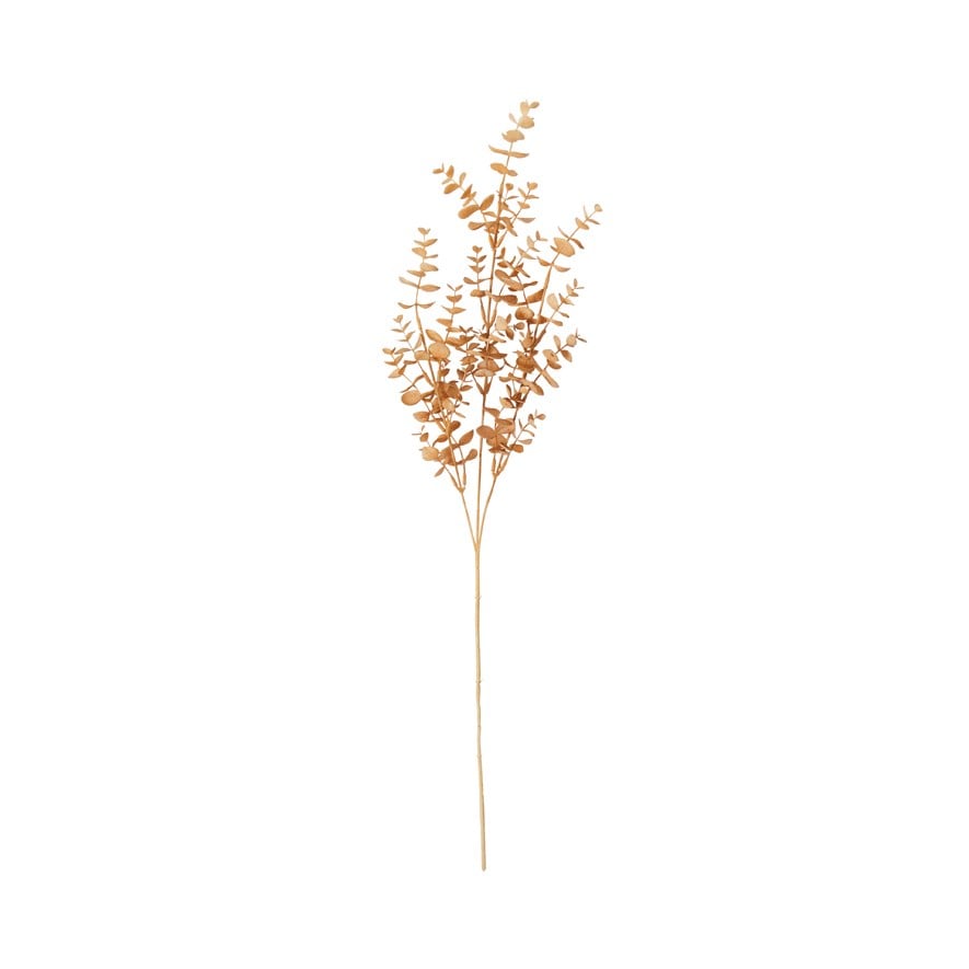 Winter Gold Eucalyptus Stem | Adairs