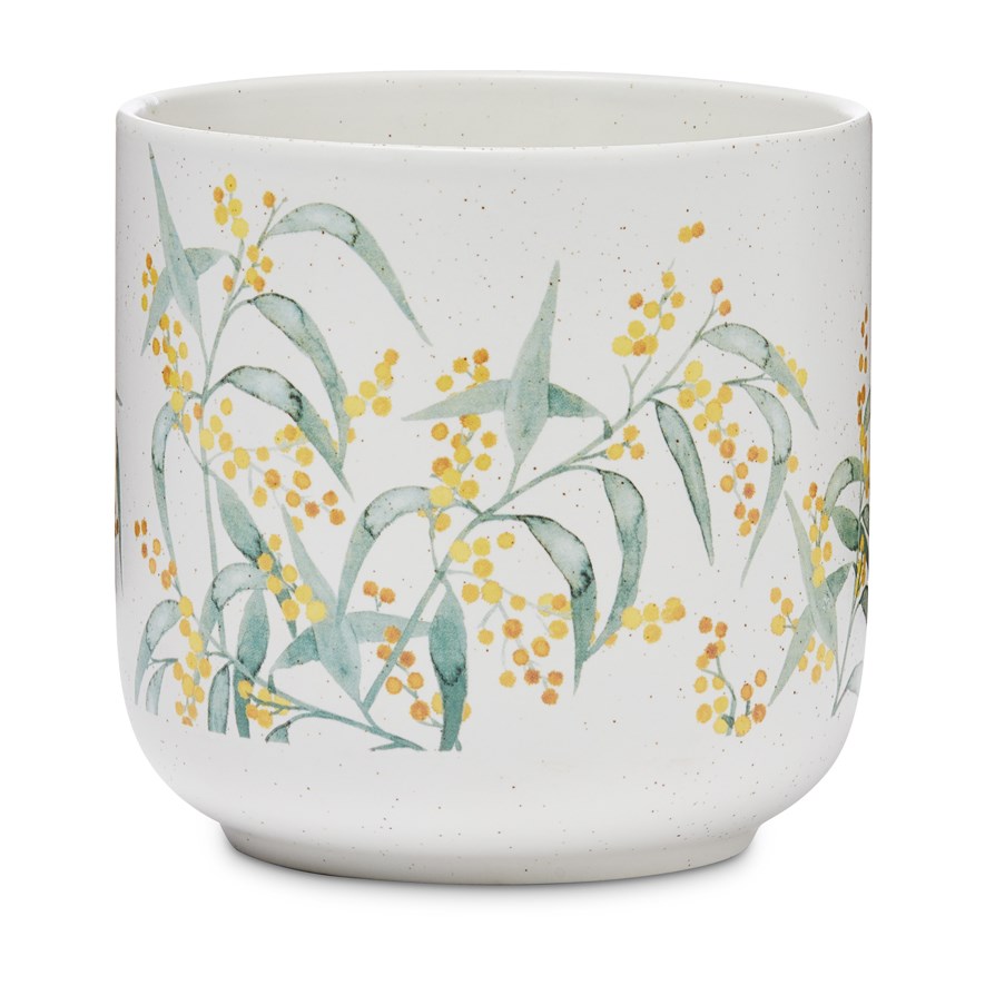 Australian Wild Flowers Wattle Pot | Adairs