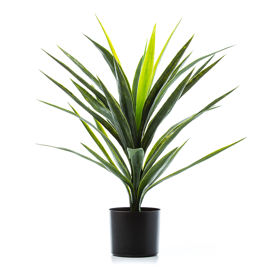Home Republic - Yukka Potted Plant | Adairs