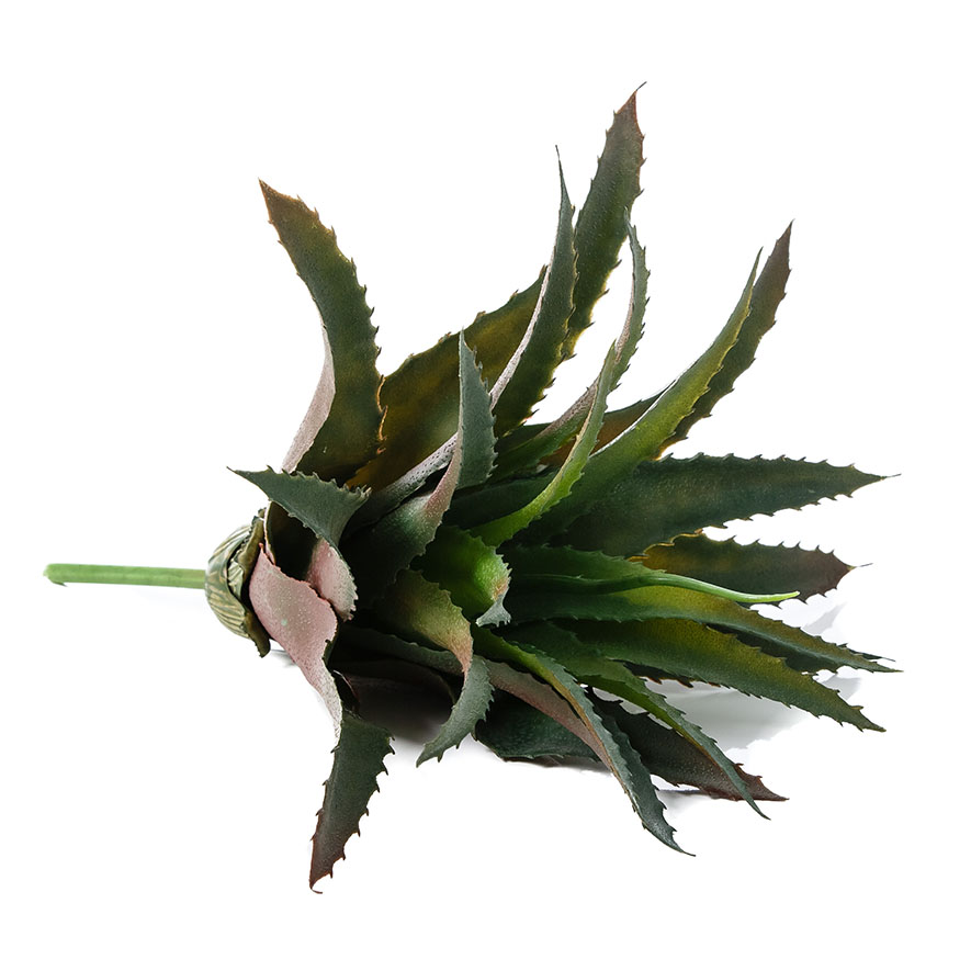 Home Republic - Red Agave Stem | Adairs