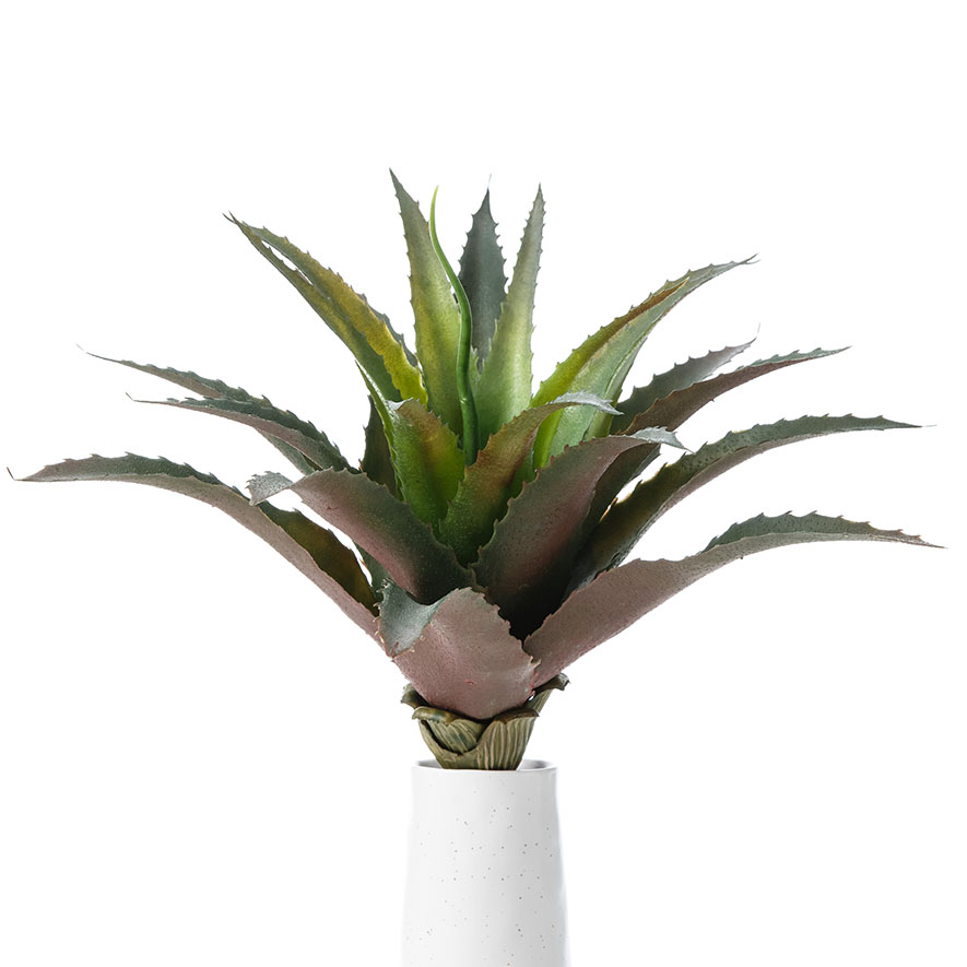 Home Republic - Red Agave Stem | Adairs
