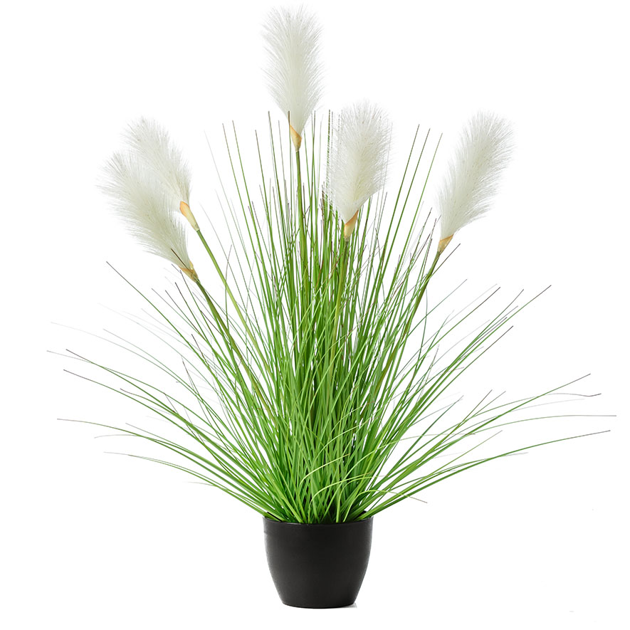 Home Republic - Savannah Green Reed Grass | Adairs