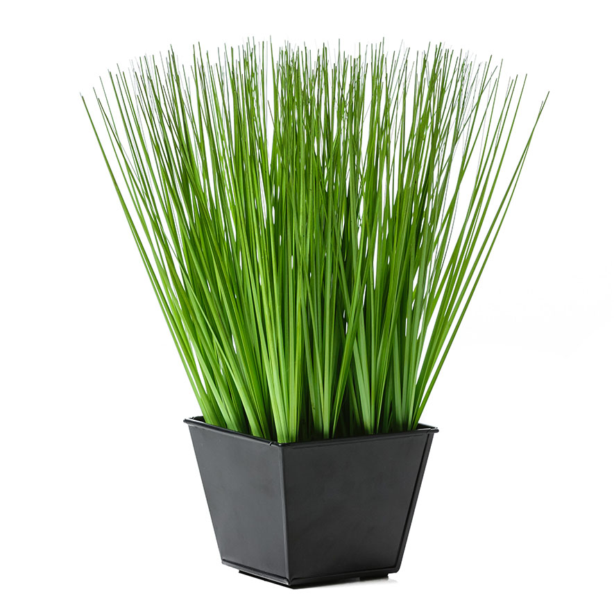 Home Republic - Savannah Grass Square | Adairs