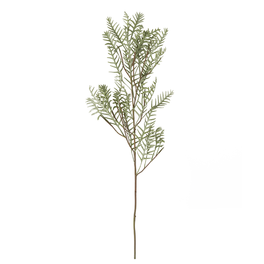Australiana Stem Grevillea Foliage | Adairs