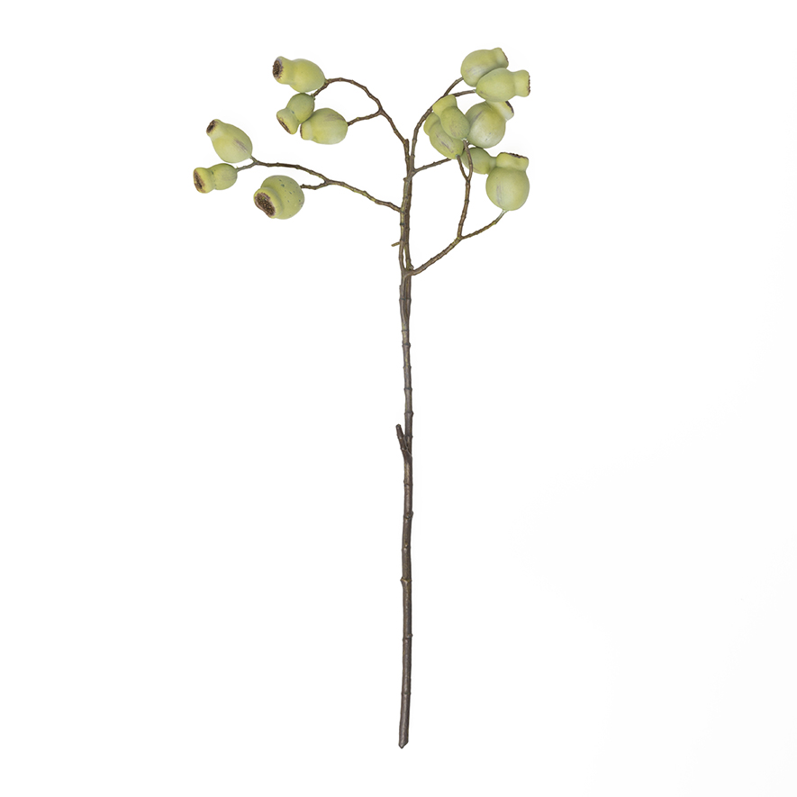Australiana Stem Gum Nut | Adairs