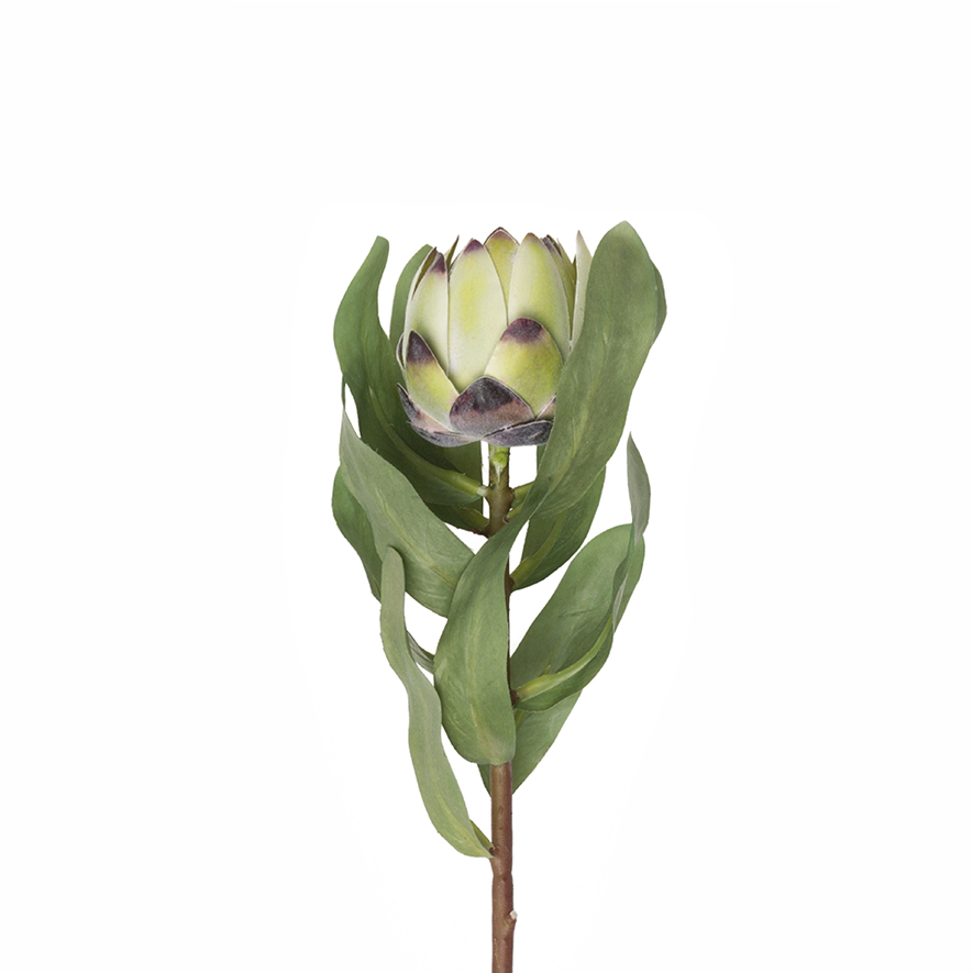 Australiana Stem Small Protea | Adairs