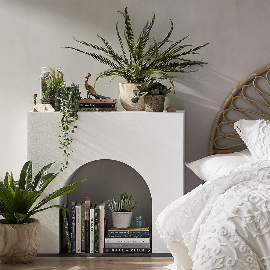 Canning Plant Fish Bone Fern | Adairs