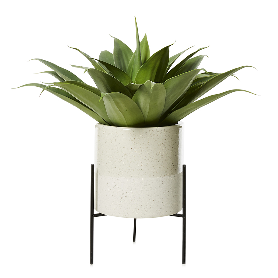 Home Republic - Jay Plant Stand in Cream | Adairs