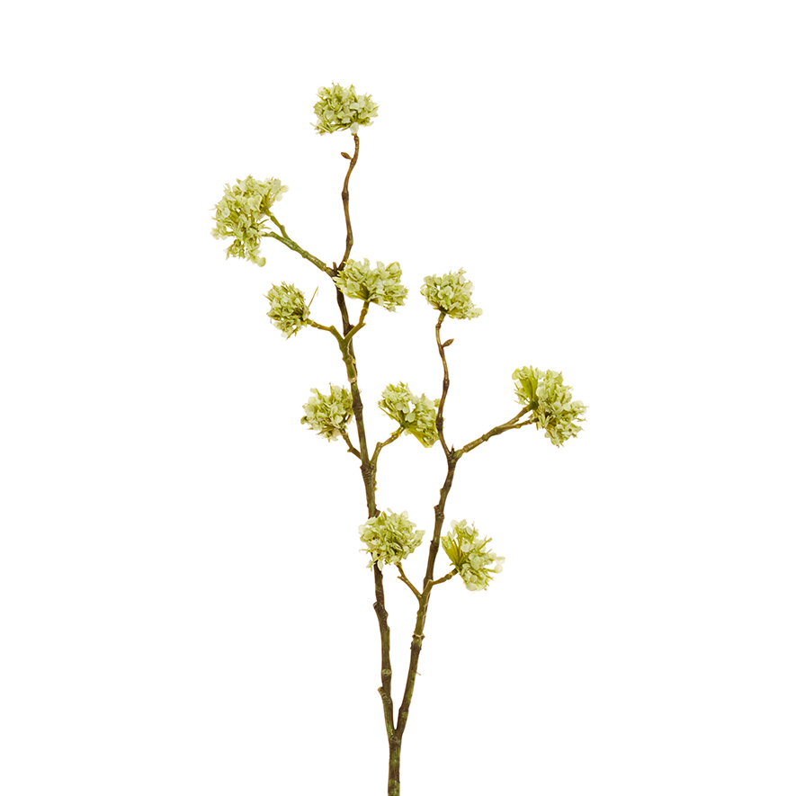 Home Republic - Fleur Stems Buddleia Green | Adairs