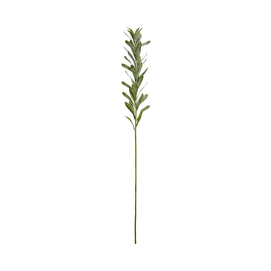 Fleur Stems Tropical Leaves | Adairs