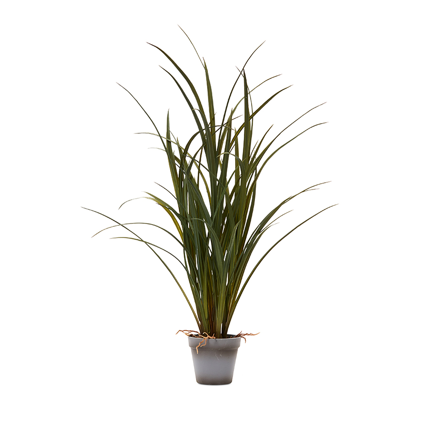 Home Republic - Toledo Green Grass Plant | Adairs