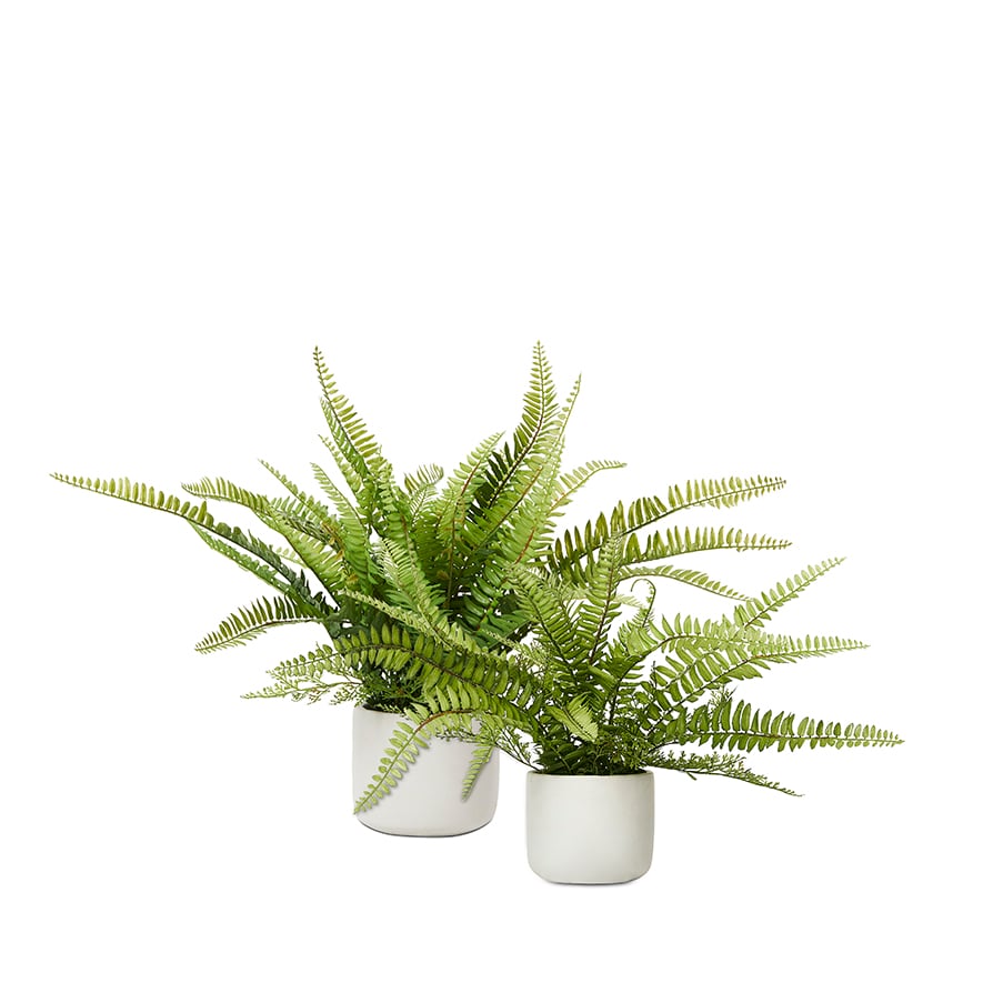 Home Republic - Sonora Fishbone Green Plant | Adairs