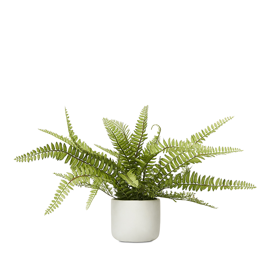 Home Republic - Sonora Fishbone Green Plant | Adairs