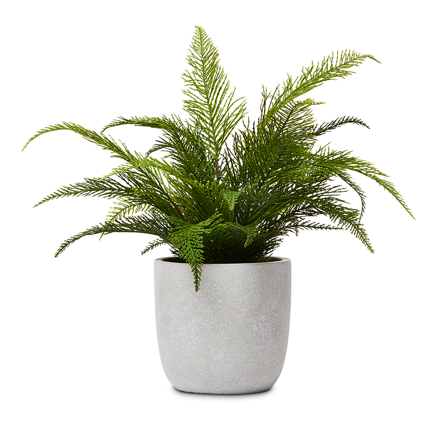 Home Republic - Freya Green Foliage Fern | Adairs