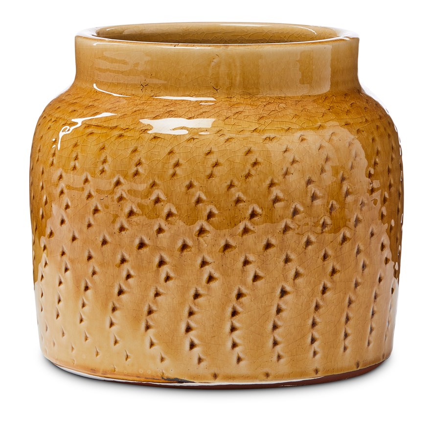Gerry Ginger Mustard Jar | Adairs
