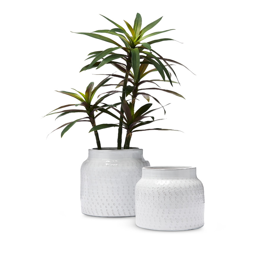 Home Republic - Gerry Ginger White Jar | Adairs